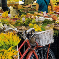 Bienvenue - Meyssac.fr